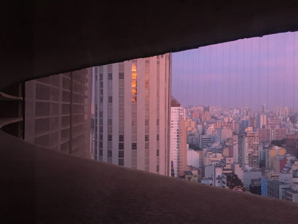 São Paulo living - Oscar Niemeyer's Edificio Copan - Greyscape